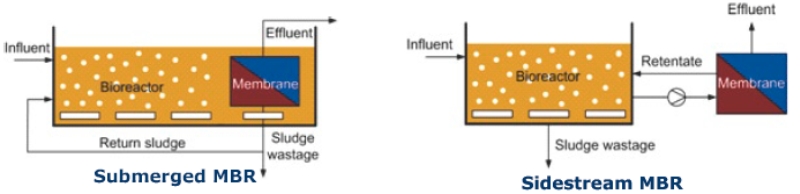 about Russian membrane network